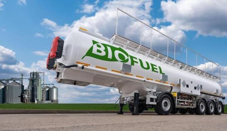 Biofuel curbs needed for shipping net zero plans, green lobby group ...