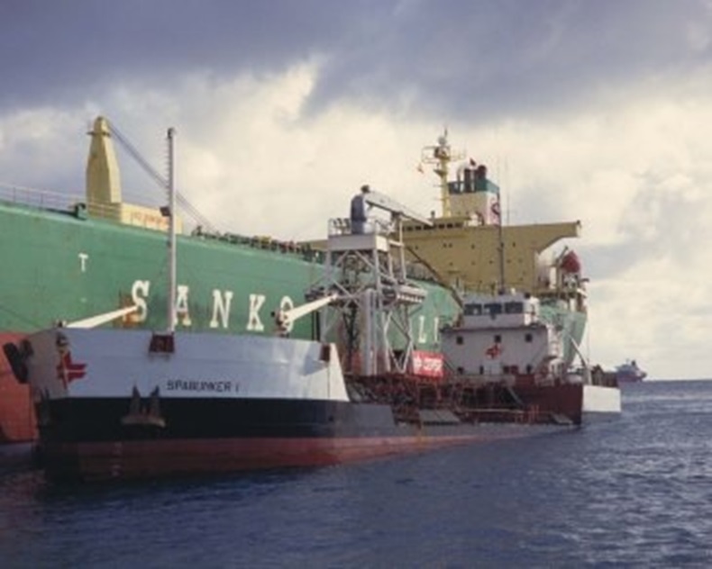 Sanko Steamship grasps three-month lifeline :: Lloyd's List