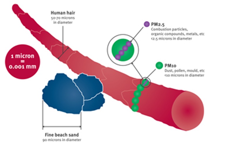 Catalyst fines drive increased claims for engine damage :: Lloyd's List