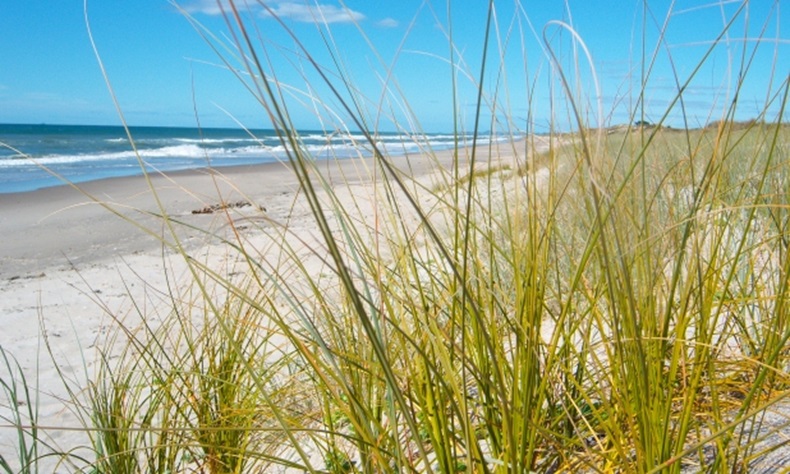 New Zealand publishes its final report on the Rena grounding :: Lloyd's ...