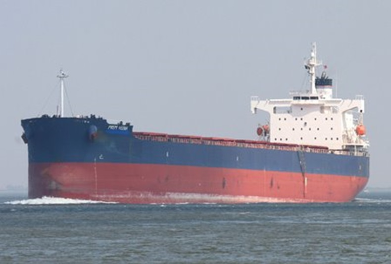 Mercator Lines applies for a stay of proceedings in creditor court case ...