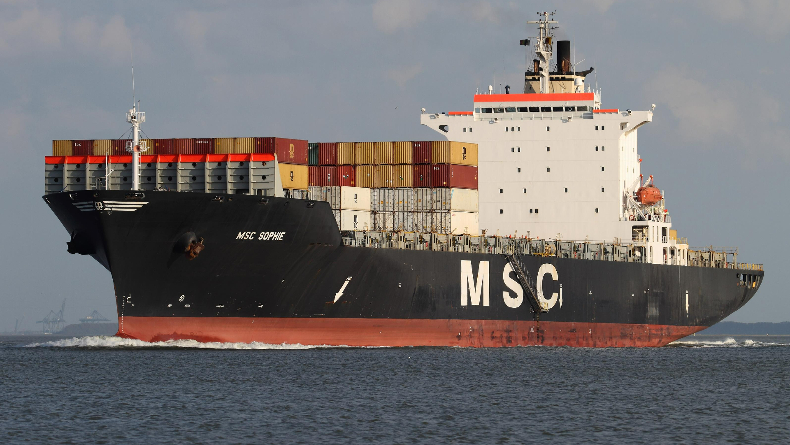 MSC in first boxship recycling sale of the year :: Lloyd's List