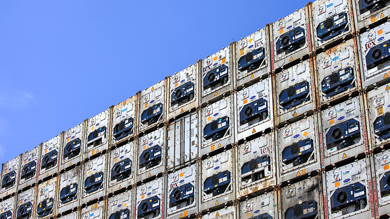 Global reefer trade maintains momentum :: Lloyd's List