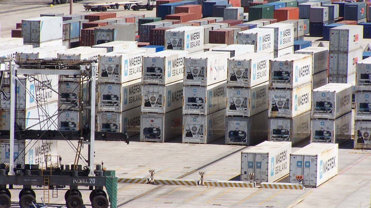 Container shipping lines set to grow reefer market share :: Lloyd's List