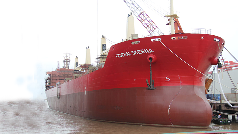 Zeaborn to manage Fednav ice-class bulk carriers :: Lloyd's List