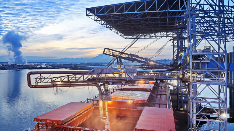 China ramps up imports of US soyabeans, boosting bulker demand :: Lloyd ...