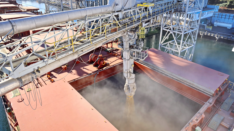 Port delays could see cargo damage claims rise :: Lloyd's List