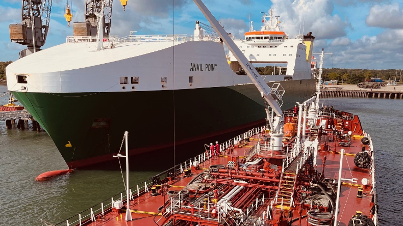 Biofuels for shipping are already scarce :: Lloyd's List