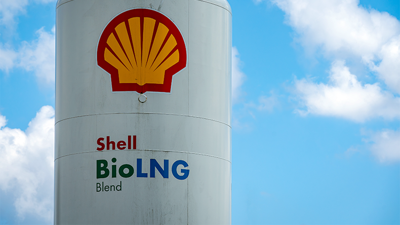 Bio-LNG is not as easy an answer as it may seem :: Lloyd's List