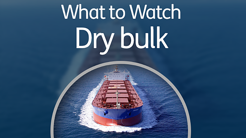 Five Things to Watch: Dry Bulk :: Lloyd's List