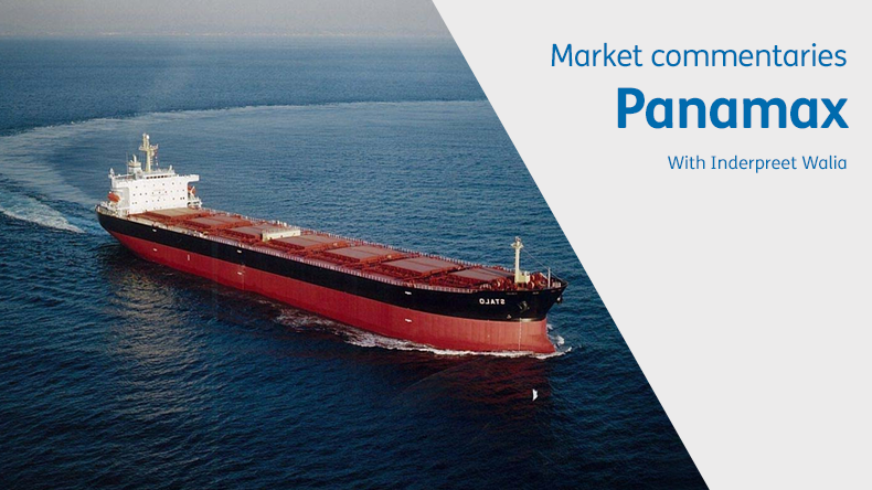 Grain shipments inject life into panamax spot market :: Lloyd's List