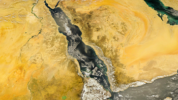 Red Sea Risk :: Lloyd's List