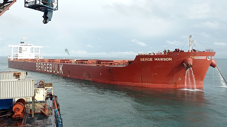 Stevedores killed on board bulker had no enclosed space training :: Lloyd's List